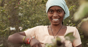 ‘Dutch development aid is effective and efficient’ | Netherlands for ...