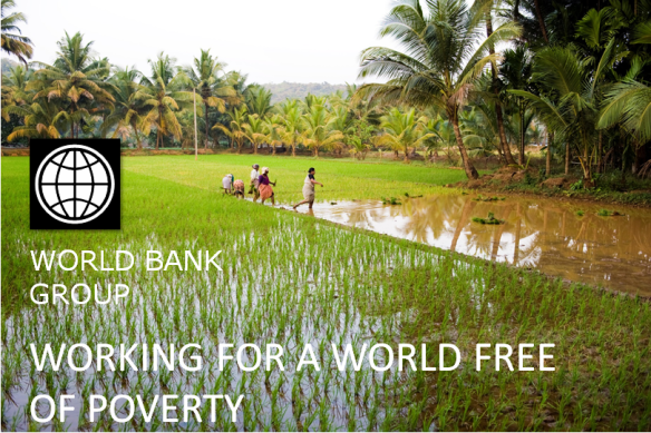 About WBG | Netherlands for the World Bank